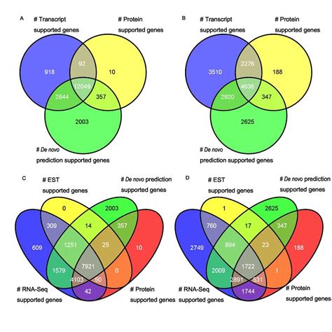 Exploring Gene Expression Patterns With Venn Diagrams In Rna Seq Data