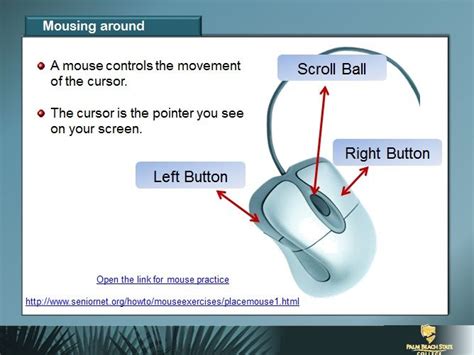 What The Buttons And Scroll On The Mouse Do