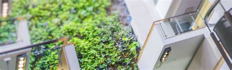 university of guelph humber