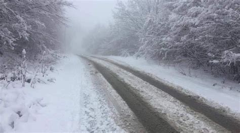 საგარეჯო უდაბნო დავით გარეჯის მონასტრის საავტომობილო გზაზე ავტოტრანსპორტის მოძრაობა თავისუფალია