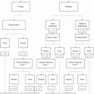 A Results Of Our New Clinical Algorithm In The Study Population Download Scientific