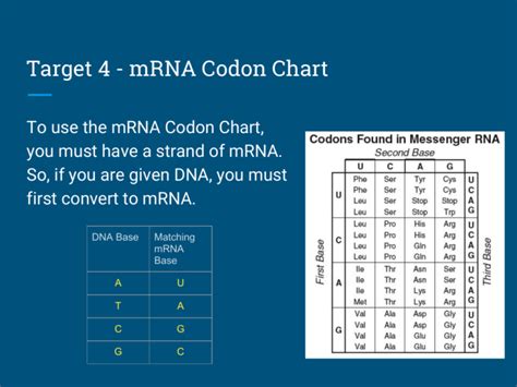 how to read a codon chart atelier yuwa ciao jp