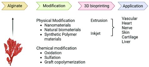 Schematic Of Sodium Alginate Hydrogel Modification 3d Bioprinting And Download Scientific