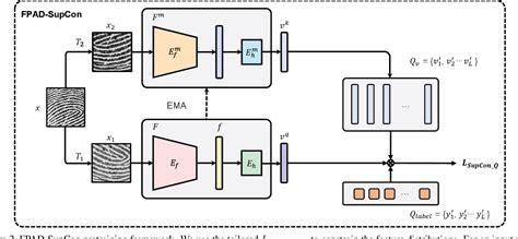 Figure 1 From Fingerprint Presentation Attack Detection With Supervised Contrastive Learning