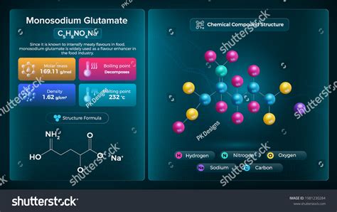 Monosodium Glutamate Properties Chemical Compound Structure Stock Vector Royalty Free