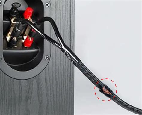 Why Is My Speaker Making Crackling Sounds Complete Troubleshooting Guide Speaker Test Online