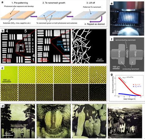 Nanomesh Patterning Process A Schematic Illustrations Of The Te Download Scientific Diagram