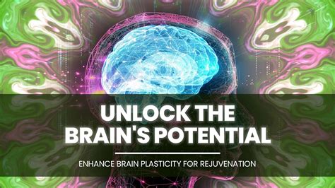 Unlock The Brains Potential Enhance Brain Plasticity For Rejuvenation Of Cognitive Functions