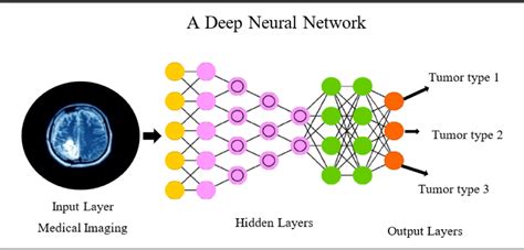 Figure 13 From Role Of Artificial Intelligence In Radiogenomics For Cancers In The Era Of