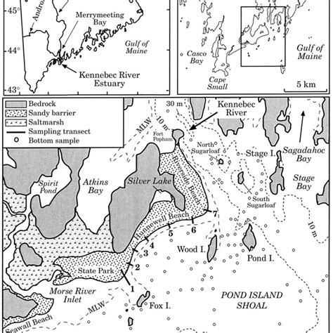 Map Of The Study Area Showing The Locations Of Bottom Sediment Samples Download Scientific