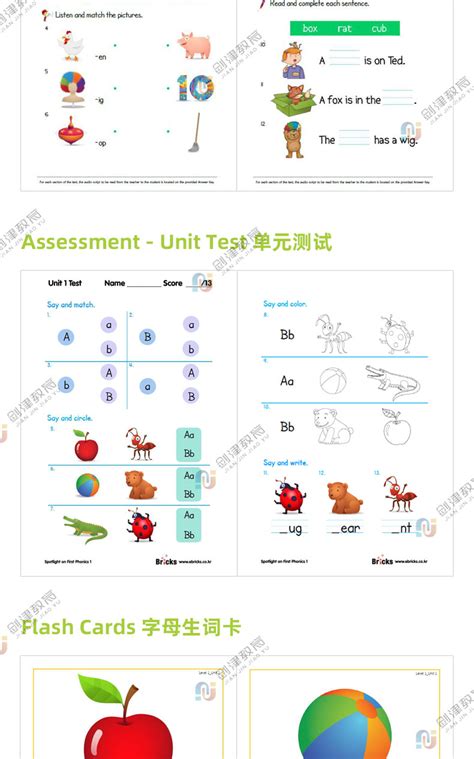 First Phonics 스포트라이트 레벨 5 5 12세 영어 철자 교과서