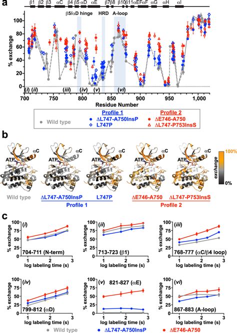 Native State Dynamics Of Exon 19 Variants Differ For Profile 1 And Download Scientific Diagram