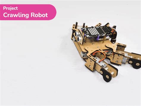 Crawling Motion With Quadruped Using Individual Servo Control Example Project