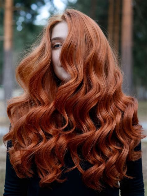 18 Teddy Bear Hair Color 2024 Fashion Trend Hacks