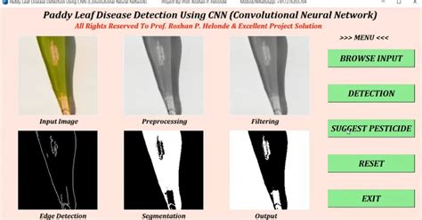 Python Code On Paddy Leaf Disease Detection And Pesticide Suggestion Using Cnn Final Year