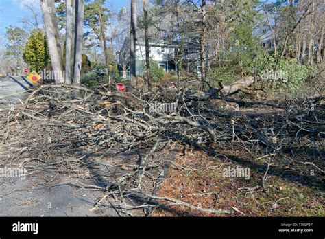 Tree Blocking Road Sign Hi Res Stock Photography And Images Alamy