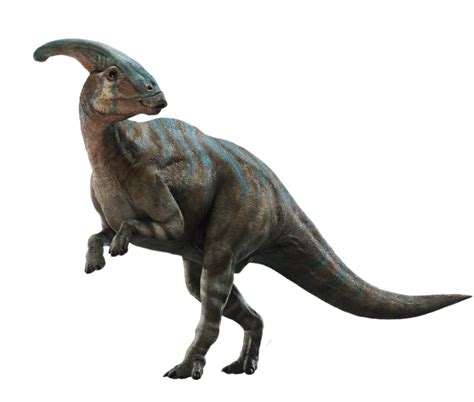 Parasaurolophus Dino Park Phuket A World Out Of Time