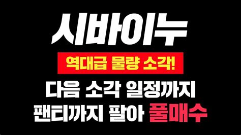 시바이누역대급 물량 소각다음 소각 일정까지팬티까지 팔아 풀매수 시바이누 시바이누코인 시바이누전망 Youtube