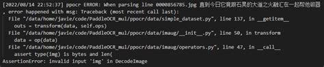 Assertionerror Invalid Input Img In Decodeimage · Issue 7195