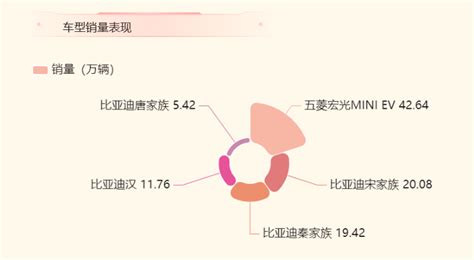 新能源汽车销售数据分析五菱宏光销量全球第二 迪赛智慧数