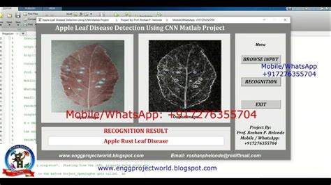 Apple Leaf Disease Detection Using Cnn With Source Code Apple Leaf Disease Detect Matlab