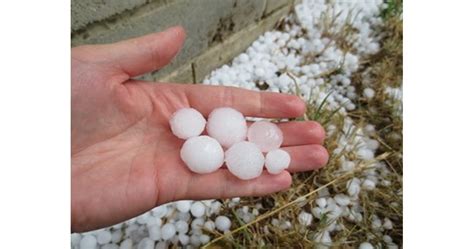 В Плевен продължава отстраняването на последиците от бурята
