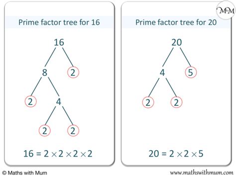 How To Find The Highest Common Factor Maths With Mum