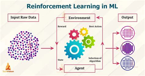 Exploring Reinforcement Learning Understanding Concepts Strategies