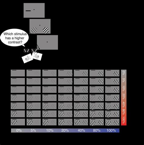 Task And Stimuli A The Attention Cueing Comparative Contrast Download Scientific Diagram