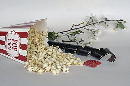 Free Photo Plate Art Popcorn Corn Food Fair Summer Hippopx