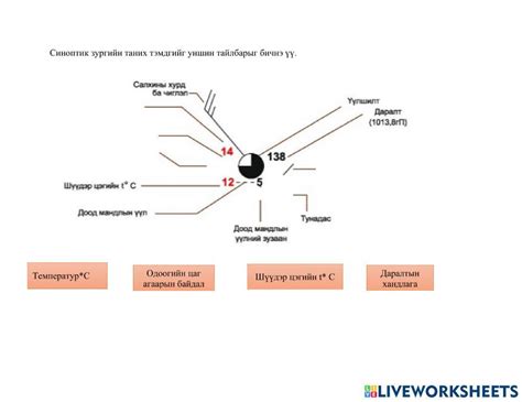 Таних тэмдэг Worksheet Live Worksheets