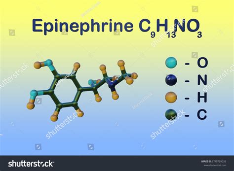 Structural Chemical Formula Molecular Model Epinephrine Stock