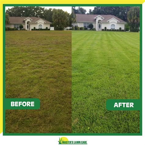 Before And After 5 Inspiring Lawn Turnaround Success Stories
