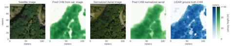 every tree counts at meta