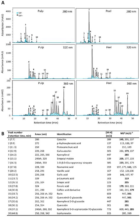 A Typical Hplc Diode Array Detector Dad Chromatogram Shown At 280 Download Scientific