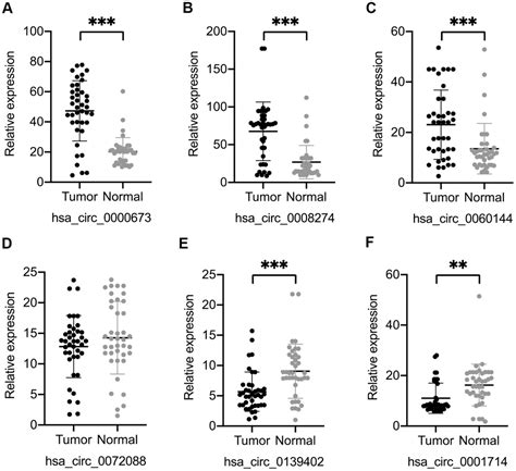 Comprehensive Circular Rna Expression Profiling Constructs A Cerna Network And Identifies Hsa