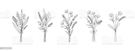 귀여운 트렌디 한 손으로 그린 꽃다발 세트 스토리 하이라이트 인사말 카드 또는 초대장 및 로고 디자인을 위한 벡터 라인 플라워 일러스트 레이 션 꽃 식물에 대한 스톡 벡터