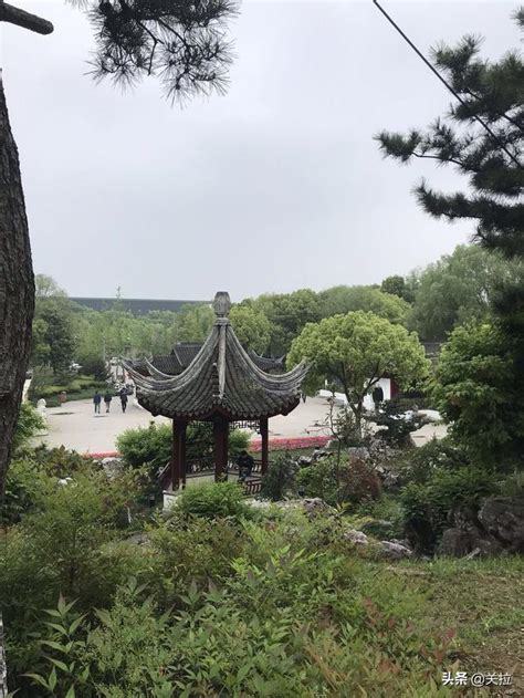 游嘉兴南湖勺园 每日头条