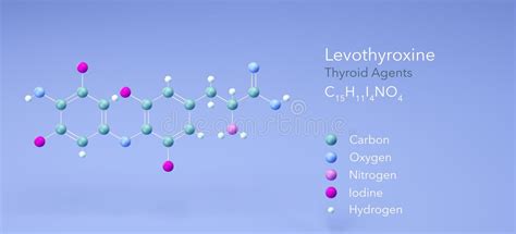 L Thyroxine Stock Illustrations 27 L Thyroxine Stock Illustrations Vectors And Clipart Dreamstime