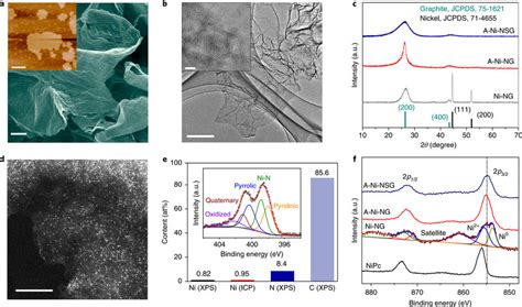 Structural Characterization Of Single Nickel Atoms Dispersed On