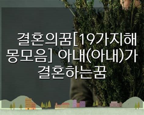 결혼의꿈[19가지해몽모음] 아내 아내 가 결혼하는꿈