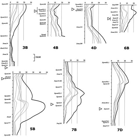 Likelihood Ration Lr Contours Obtained By Composite Interval Mapping