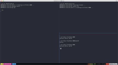 Unix Domain Socket Coding And Life