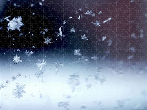 Snowflake Falling Jigsaw Puzzle By Photography By Tera Fraley