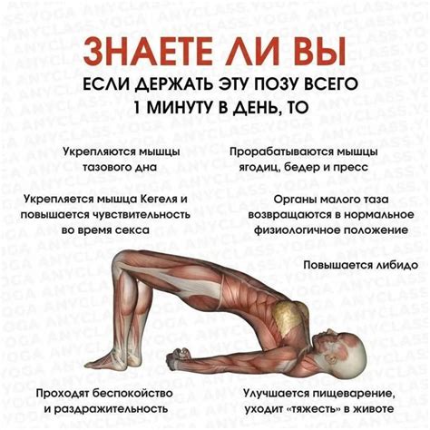 Пин от пользователя лена на доске Упражнения в 2024 г Упражнения Йога Здоровье