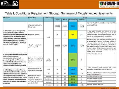 Overview Of Y1 Project Performance Ppt