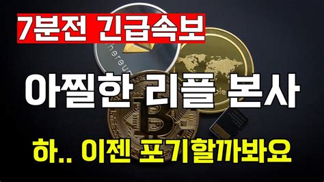 리플 리플 본사 지금 난리 났네요 Youtube