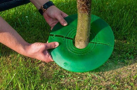 TreeGuard chránič stromu TreeGuard