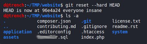 Dont Make Your Git Folder Publicly Accessible Hacker Can Steal Your Source Code Dev Community