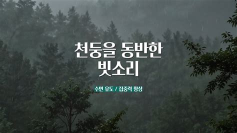 잠 못 이루는 밤을 위한 천둥 빗소리 Asmr 꿀잠 보장 집중력 향상을 위한 빗소리 잔잔한 천둥소리 스트레스 해소